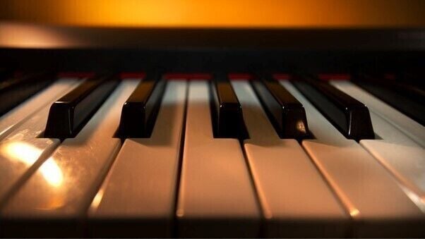 Types of musical instruments: Choose the right one for you - Muziker