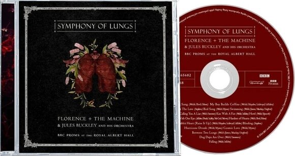 Florence and the Machine Florence and the Machine CD Muzyczne CD - Muziker