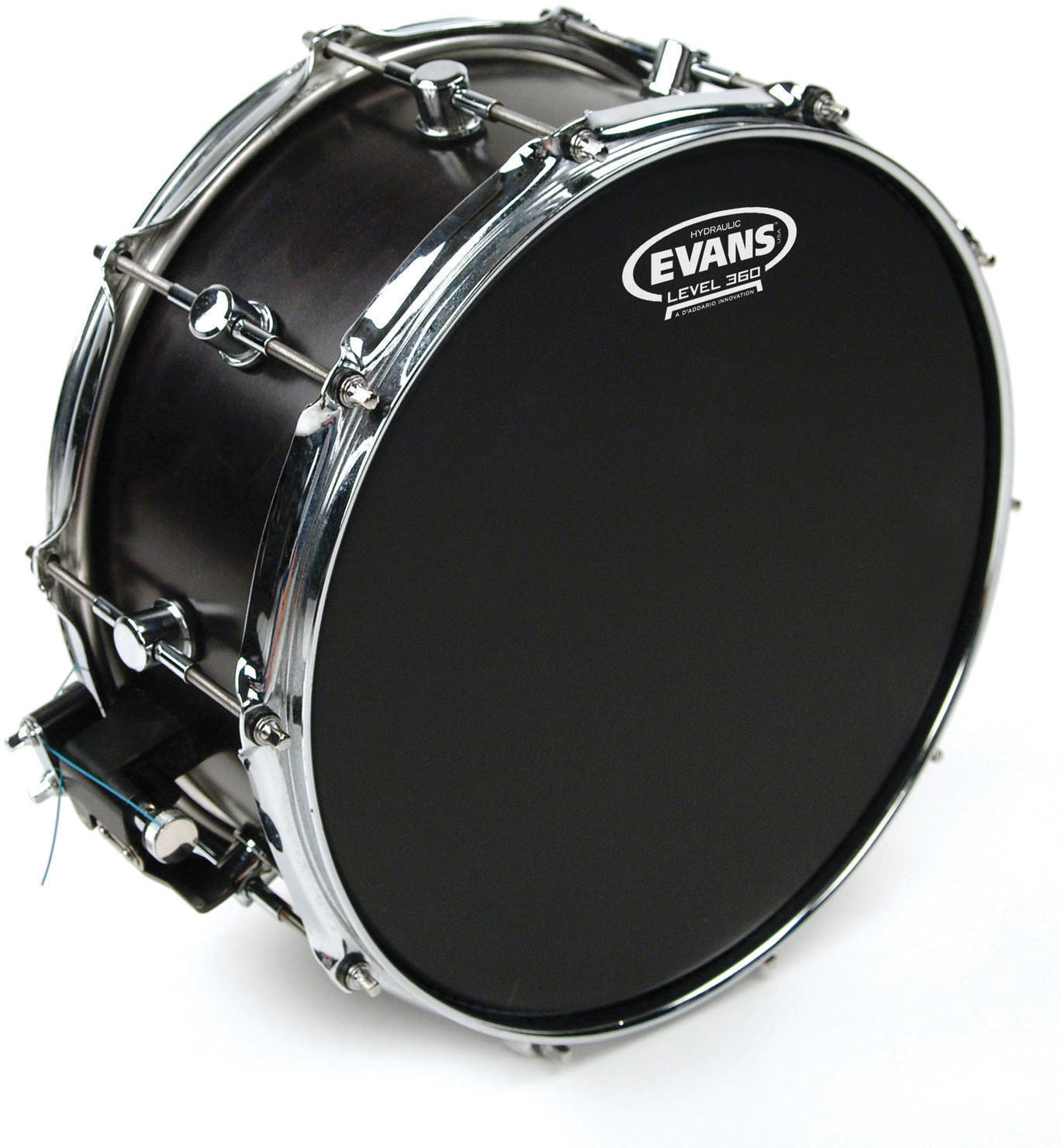 Evans B14HBG Hydraulic Coated Czarny 14" Naciąg na Bęben - Muziker
