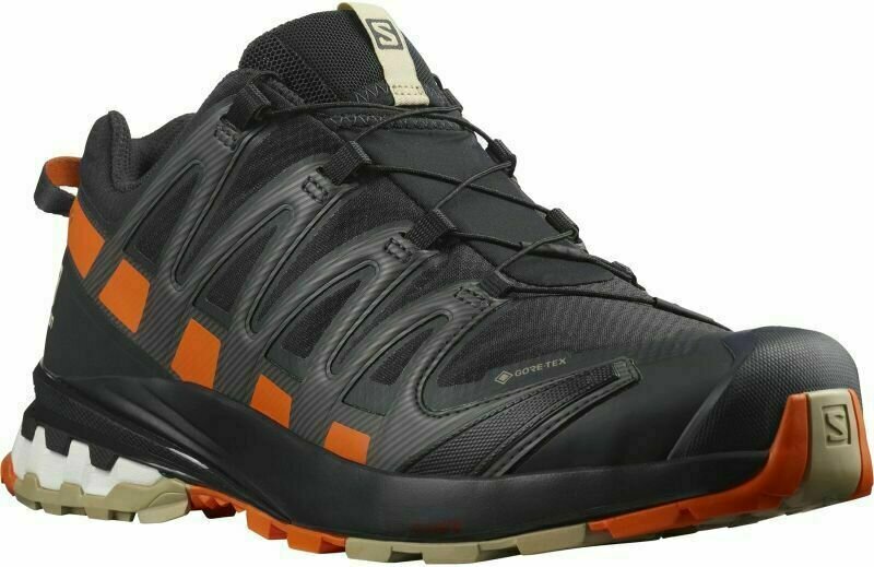 Salomon XA Pro 3D V8 GTX Night Sky Red Safari 46 Trail running shoes Muziker