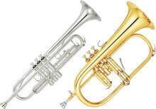 Instrumente de suflat - Muziker